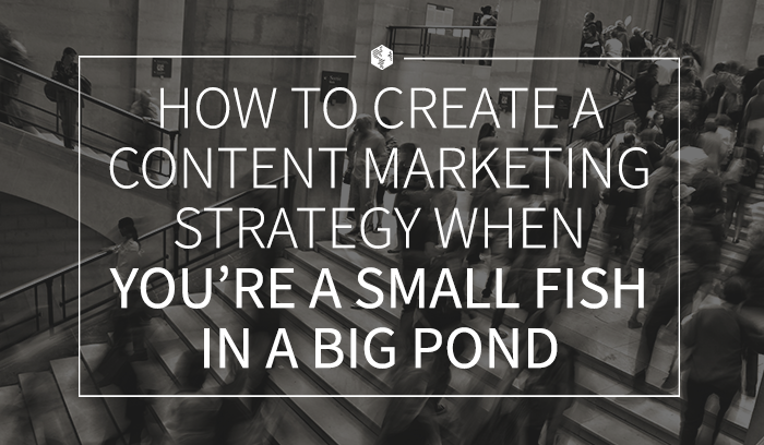 How to Create a Content Marketing Strategy When You're a Small Fish in ...
