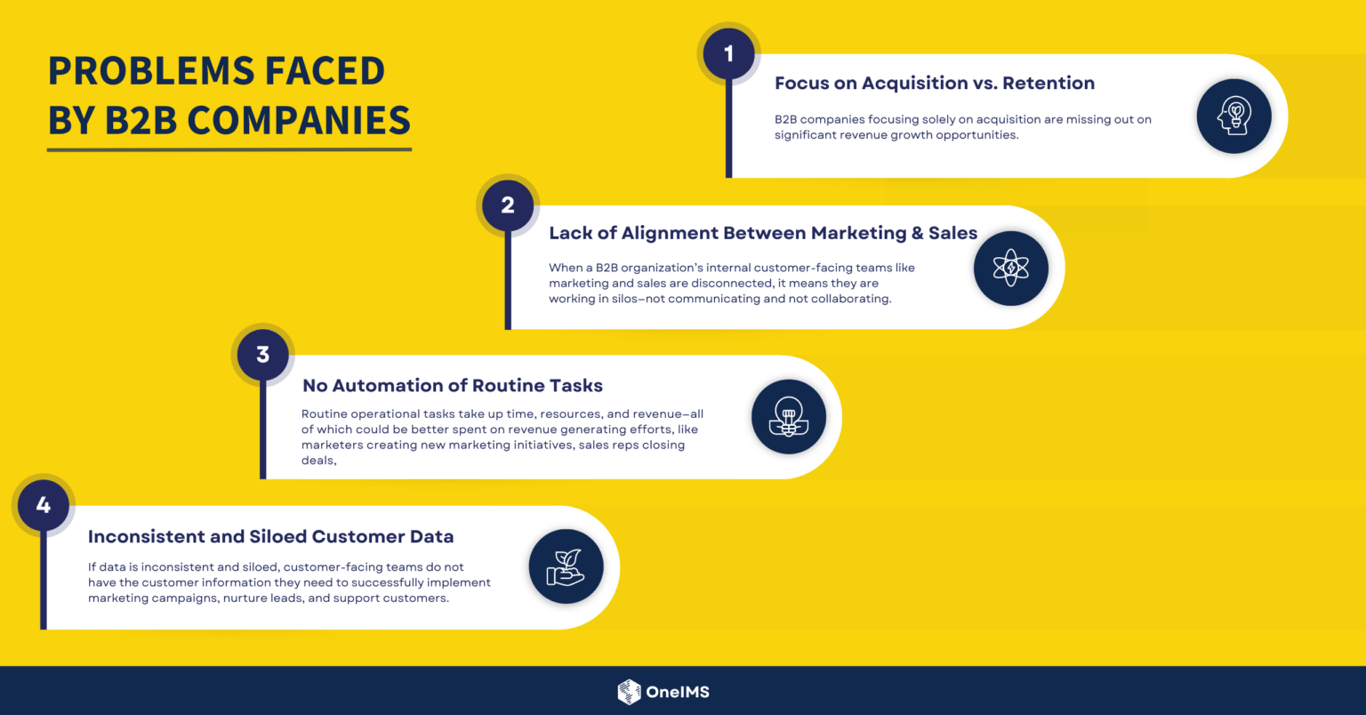 Revenue Optimization Strategies for B2B Companies - OneIMS
